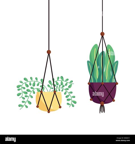 Hanging Plants Inside Pots Vector Design Stock Vector Image Art Alamy