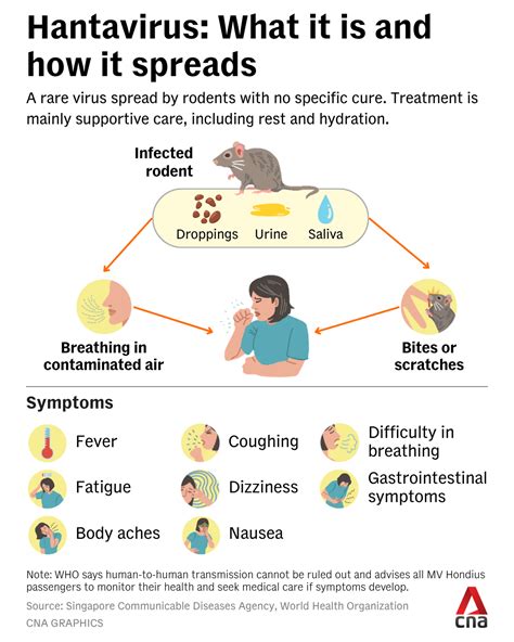 Very Negligible Risk Of Hantavirus In Singapore Healthcare System Well Prepared Experts Cna