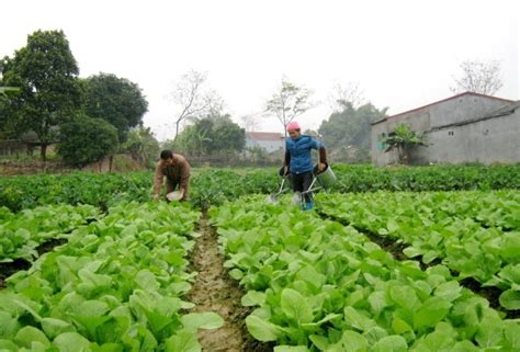 October Cpi Rises 0 2 On Higher Food And Education Fees Vneconomy