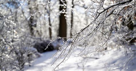 Pennsylvanias 2026 2027 Winter Forecast Is In Aol