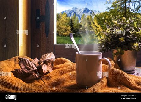 Hot Tea In Autumn Hi Res Stock Photography And Images Alamy