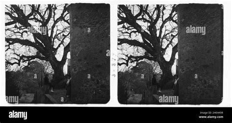 Can Camps Black And White Stock Photos Images Alamy