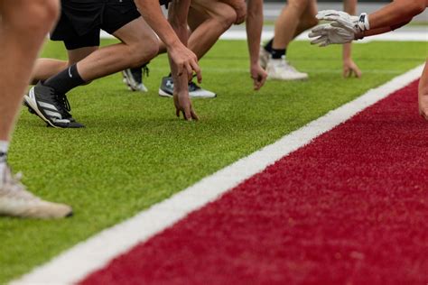 Turf Vs Natural Grass