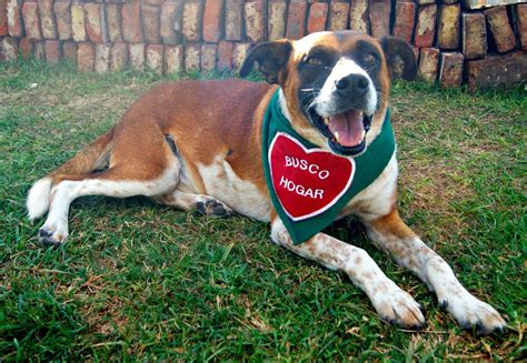 Sample Product Page Fundapab