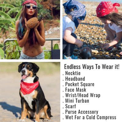 Pack Of 240 Mechaly Paisley Cotton Bandanas Bulk Wholesale Mix