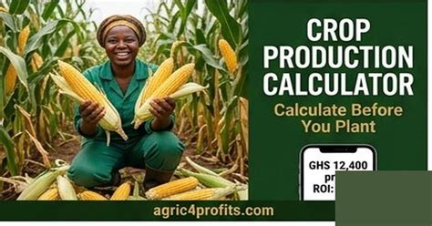 Crop Production Calculator For Napier Grass Elephant Grass Farming In