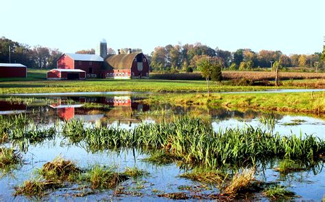 Usda Looks To Fund 50 Million In New Wetlands Conservation Easements