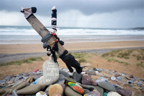 Harry Potter Fans Revolt Over Power Cable Route Near Dobby Fictional