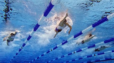 Usa Swimming Cfo Placed On Leave After Arrest Reports Cfo Dive