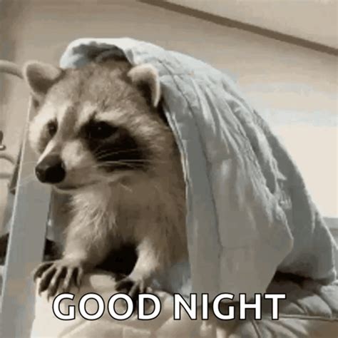 Good Night Funny S Tenor