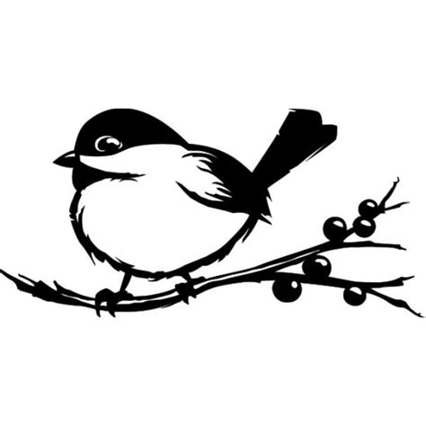 Open This Week 10 3 Black Cap Farm Native Plant Nursery Facebook