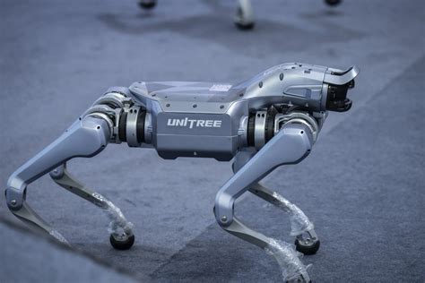 China Billionaire Wang Xingxing Set To See Fortune Soar Thanks To Robot