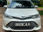 Toyota Axio Car For Rent In Colombo 4 Ikman