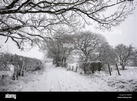 English Country Lane On Hi Res Stock Photography And Images Alamy