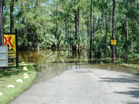 Lion Country Safari Loxahatchee Informations Pour Les Visiteurs And Avis
