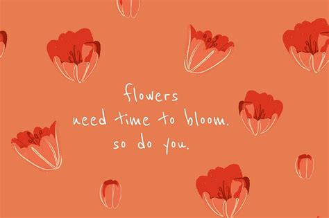 Tulip Flower Bloom Images Free Photos PNG Stickers Wallpapers