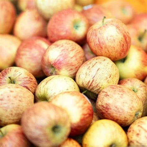 Types Of Apples Guide Sweetness Chart And Uses Labonnes Markets