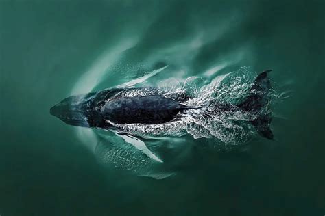30 Remarkable Winning Photos From The 2025 International Aerial Photo