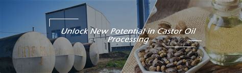 Castor Oil Plant Equipment Selection Guide Choosing The Right