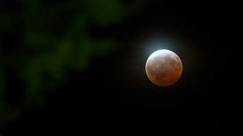 Next Eclipse In Washington Other Meteor Showers In 2026