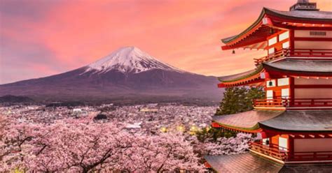 Mt Fuji Cherry Blossom Festival Canceled Due To Misbehaving Tourists