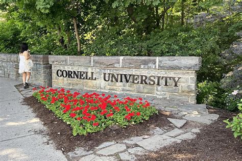 Cornell 7 Case Update Jane Doe Allegedly Told Frat Member Bro