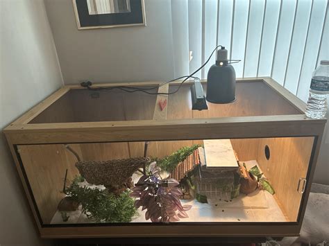 14 Best Bioactive Vivarium Enclosures August 2026 Expert Reviews