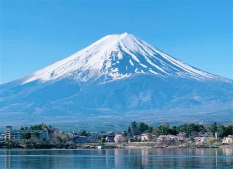 中国游客锐减！日本中文导游：大型旅行团几乎取消，许多同行进入休息状态 腾讯新闻