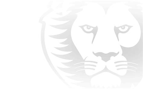 Match Report Lions Secure A Win At Home