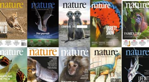 Nature Magazine October 15 2026 Intellicurious