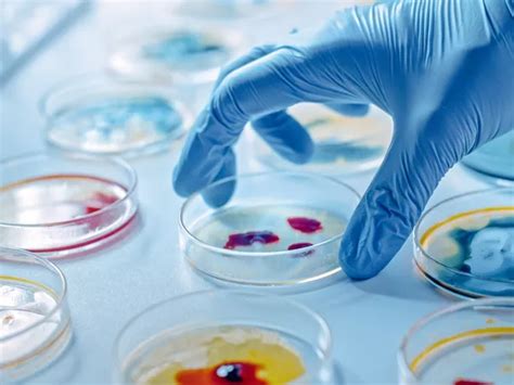 Frontiers Insect Mediated Microbiome Engineering A Hidden Network