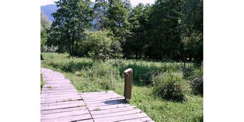 Saint Laurent du Pont Les tourbières de lHerretang un site remarquable à visiter au crépuscule