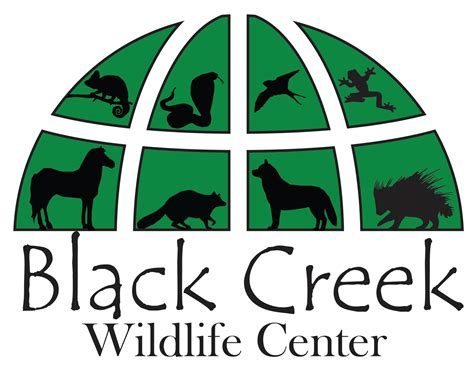 Black We Have Started The Licensing Process To Have A Radiograph
