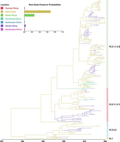 Frontiers Biological Characterization And Evolutionary Dynamics Of