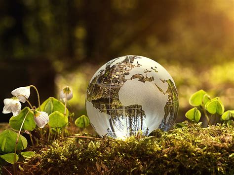 Environment Crystalinks