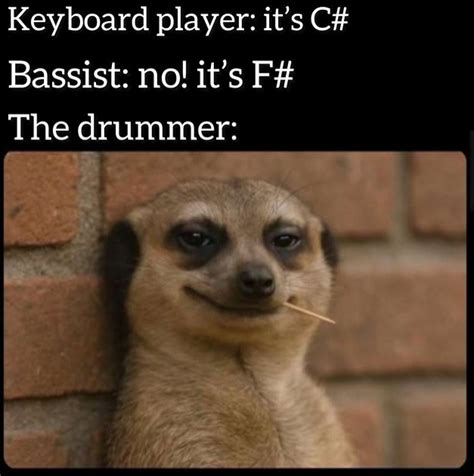 A Medley Of 27 Musician Memes Perfectly Tuned For Bandmates Solo