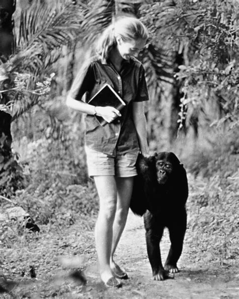 Jane Goodall Renowned Chimpanzee Researcher And Animal Advocate Dies