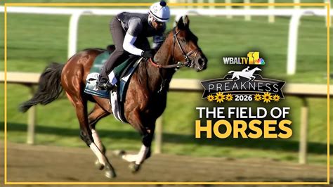 These Are Your 2026 Preakness Stakes Horses