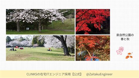 おはようございます☀️ 7月21日は「自然公園の日」😀 自然がいっぱいある公園って空気も景色も綺麗で心身ともに癒されますよね🍀 画像は千葉市の