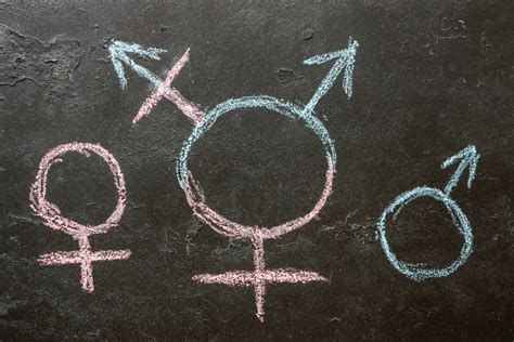 Pearsons Pro Trans Educational Content Condemned Christian Today