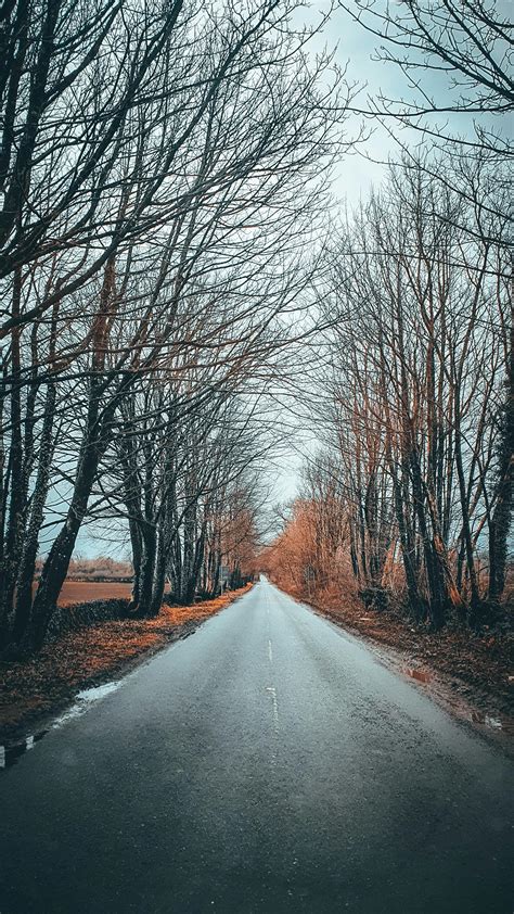 1000000 Best Nature Wallpaper Photos · 100 Free Download · Pexels