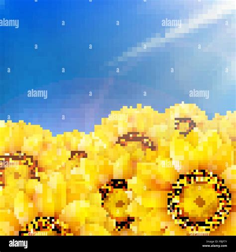 Sunflowers Sky Blue Stock Vector Images Alamy
