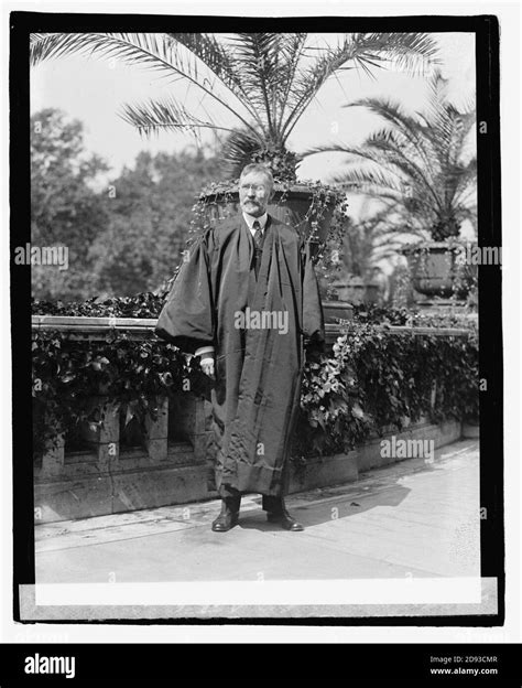 Cut Out Stock Images Pictures Alamy