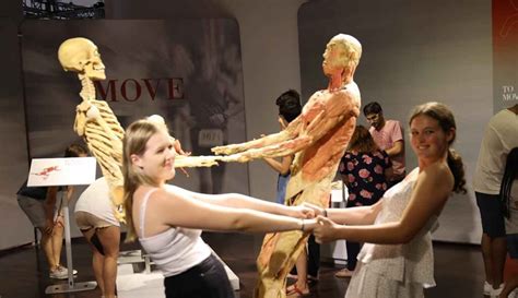 Bodies The Exhibition Las Vegas Guide 2026 Tickets Hours And Tips