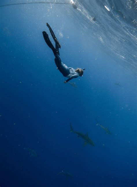 Ocean Ramsey Taught Me To Swim With Sharks And Changed How I See The