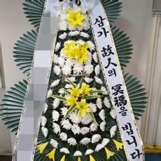 광주 북구 해피뷰병원 장례식장 조의화환 프리미엄 제품 제품비교하기