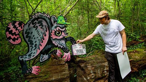 Jimothy The Raccoon Inspires Asheville Woods Scavenger Hunt