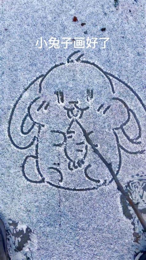 兔子过冬的方式简笔画简单（18张）简笔画图片大全