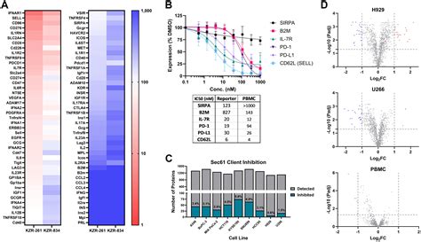 Preclinical Characterization Of Novel Multi Client Inhibitors Of Sec61