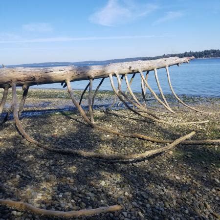 Harstine Island State Park Washington State Parks
